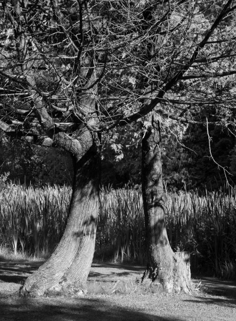 Gallery – Steven Simpkins